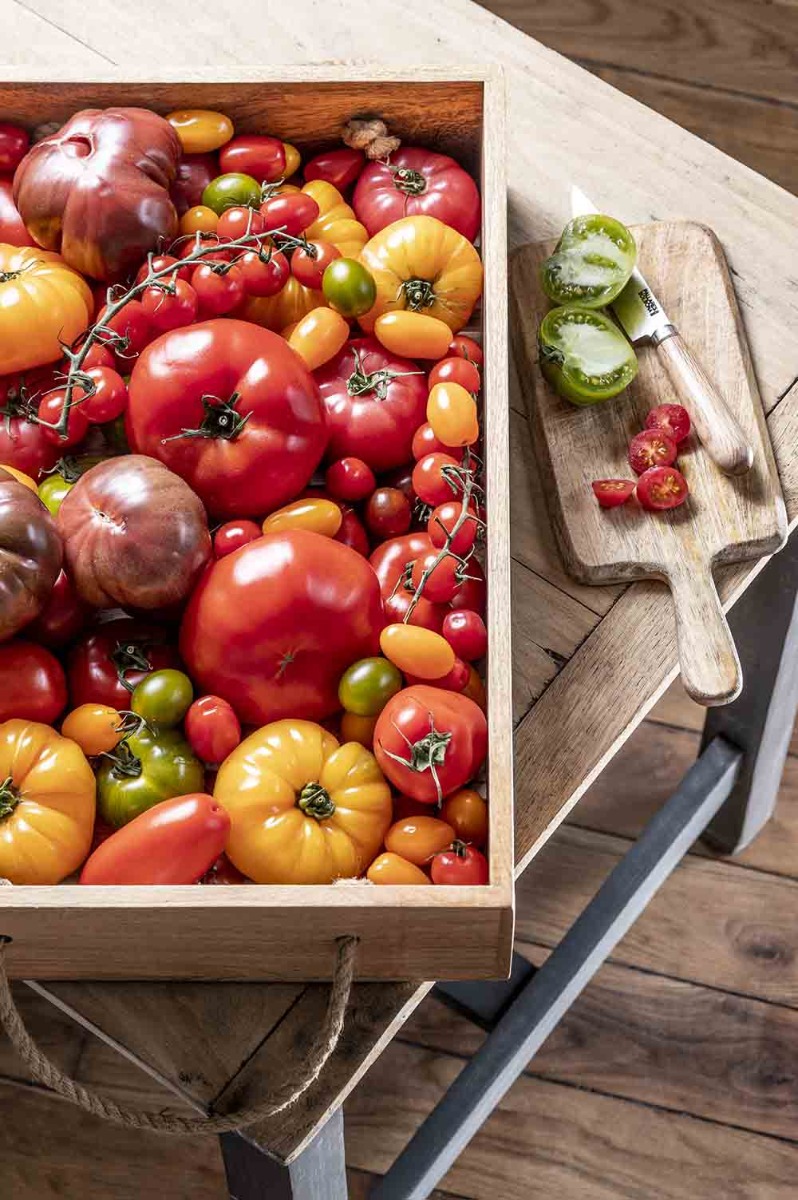 Tout savoir sur les variétés des tomates et leurs goûts - Naturalia